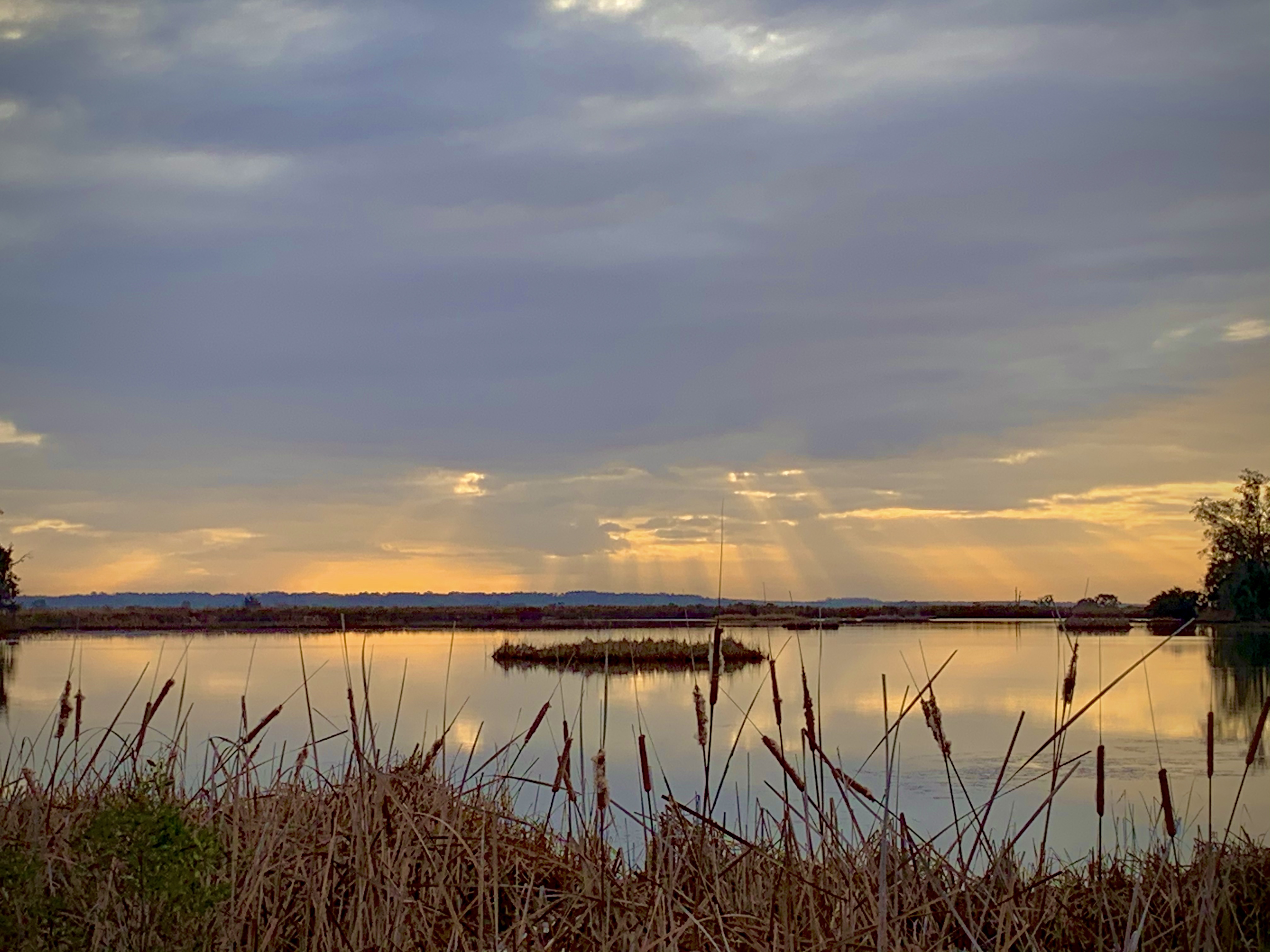 Only God Does Perfect – Love the Hand of God